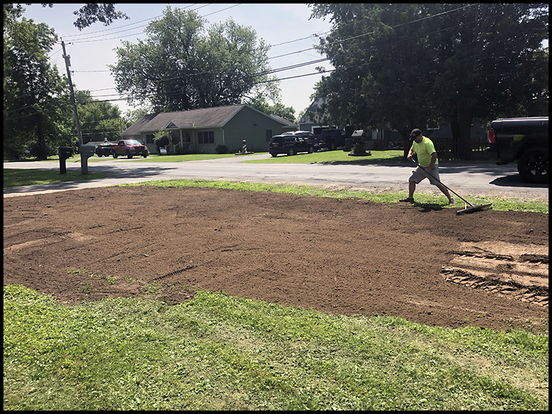 Lawn & Tree Experts | Mohawk Valley Lawn & Tree Service